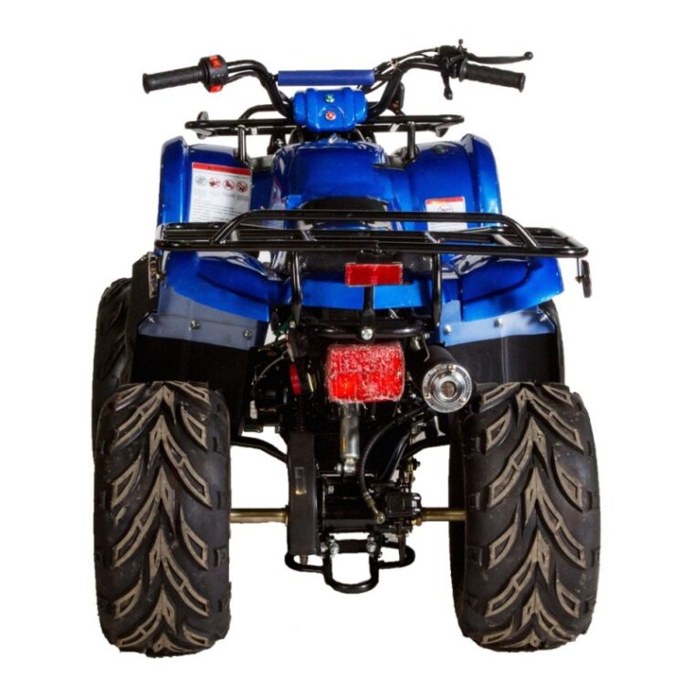 VTT TAOTAO – 125D DESTRUCTEUR – Automatique 110 Cc – Ebike VTT Rive-Sud